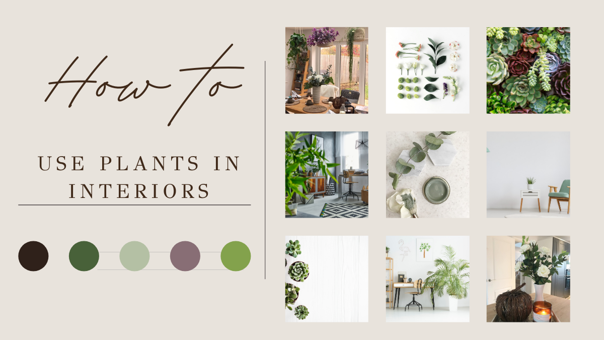 How to use plants in interior design – Claire Parkin Interior Design